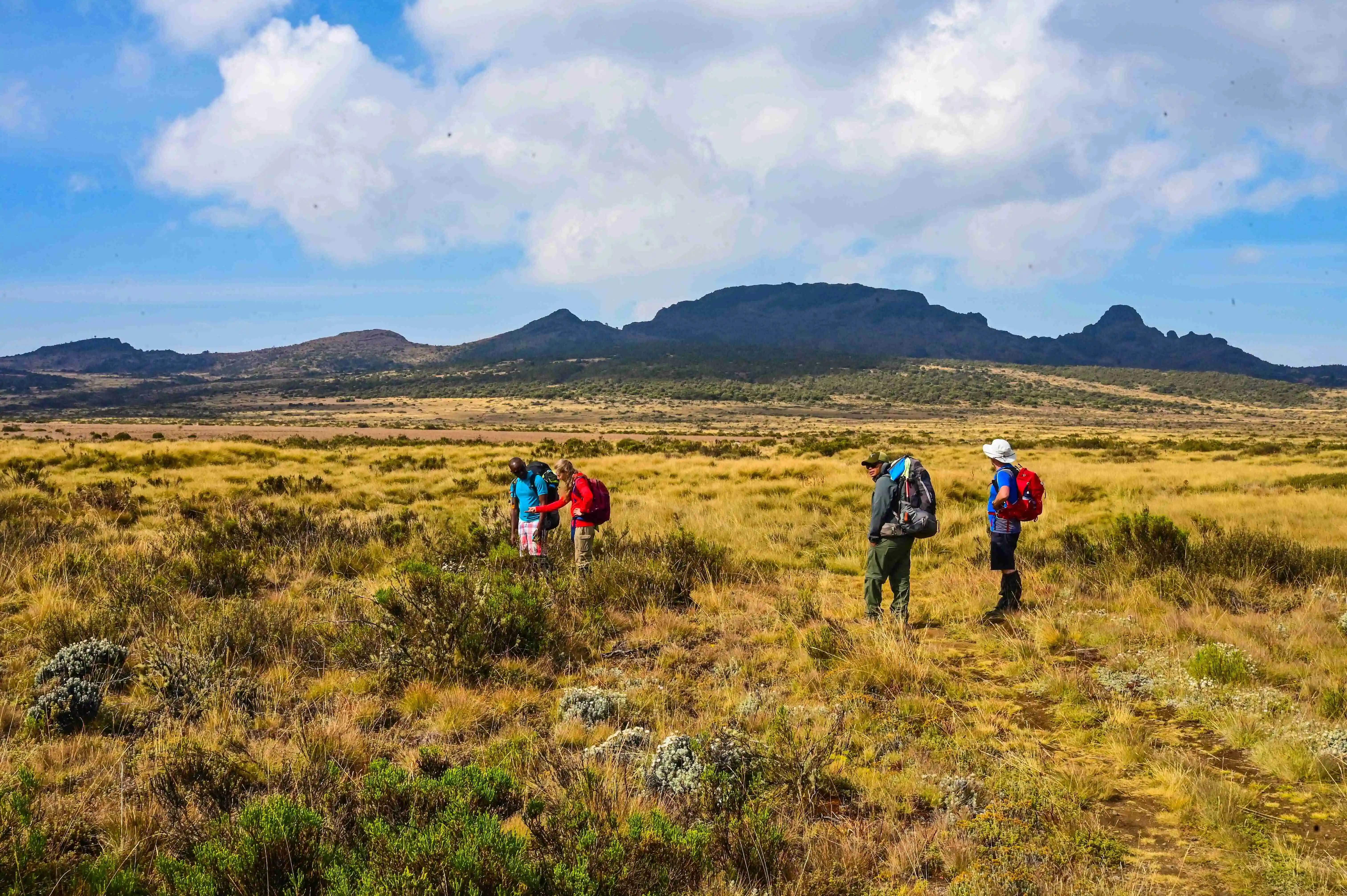 Kililand Adventures | Tanzania Safaris & Kilimanjaro Treks